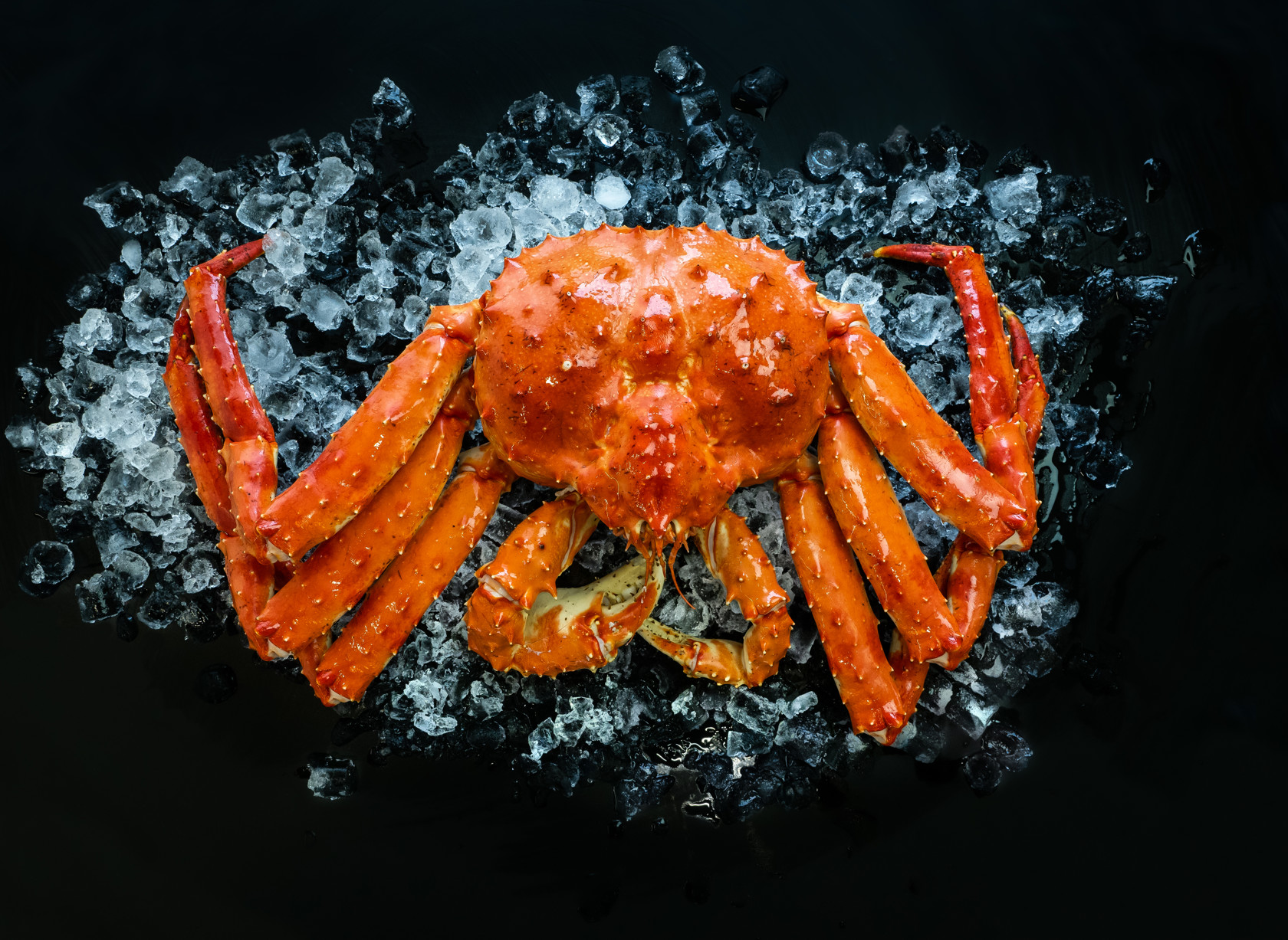Norwegian King Crab Arctic Seafood Specialty