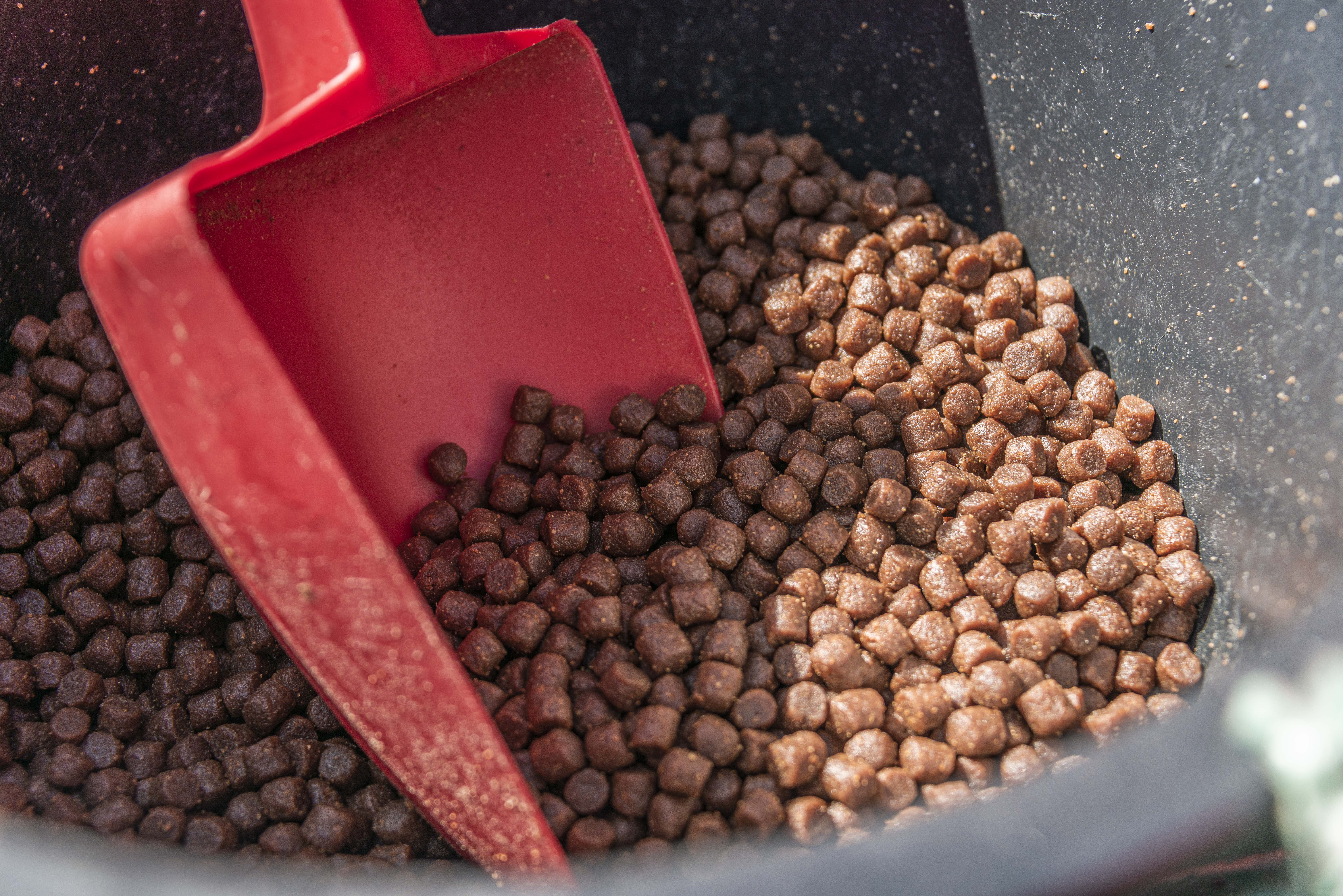 Fish feed and raw materials